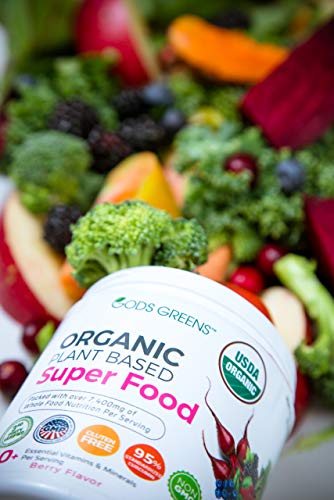 chlorella powder for digestive health