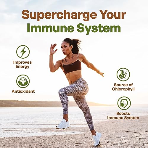 chlorella powder packed with vitamins