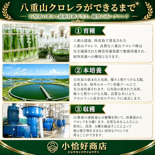 Chlorella spirulina barley grass blend