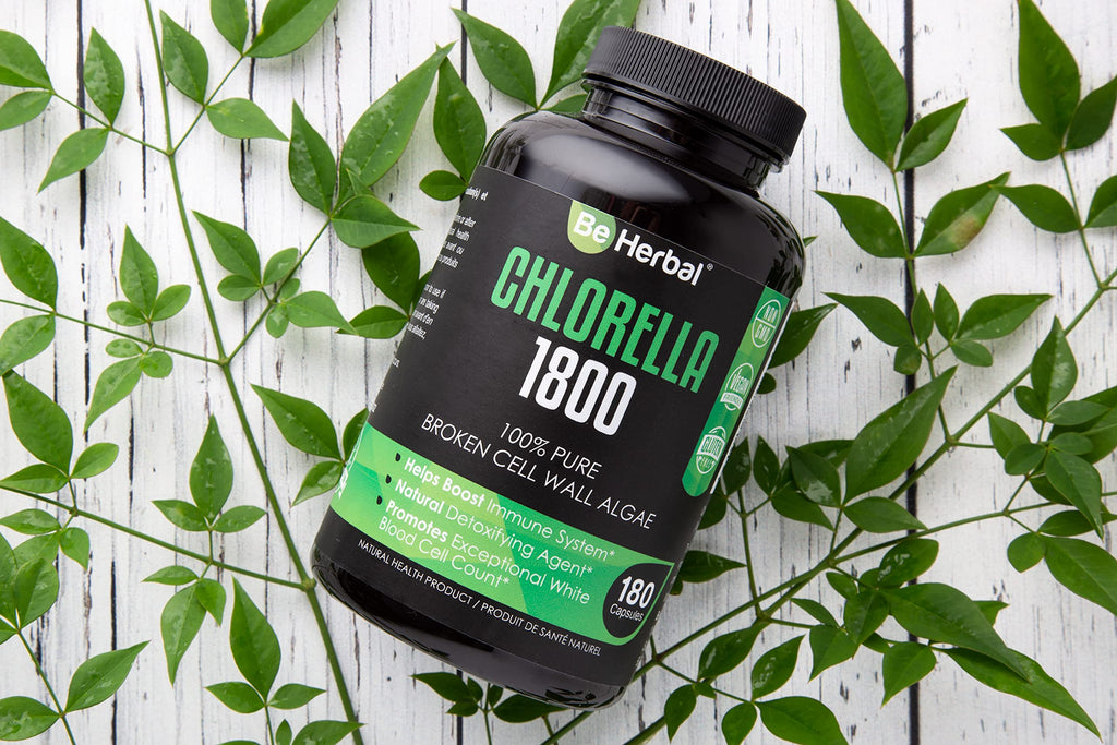chlorella spirulina for balanced diet