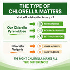 Chlorella supplement for women’s health