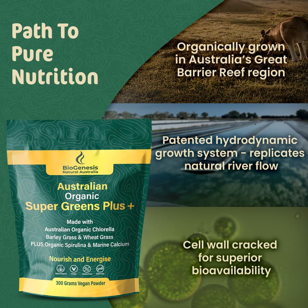 chlorella supplements for active lifestyle