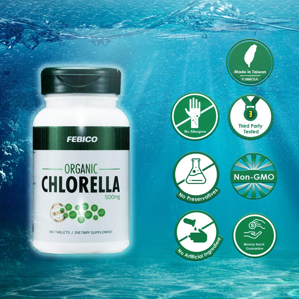 chlorella supplements for digestive health