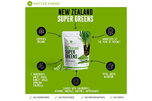 chlorella supplements for vibrant health