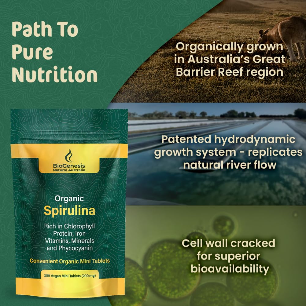 Chlorella tablets for daily nutrition
