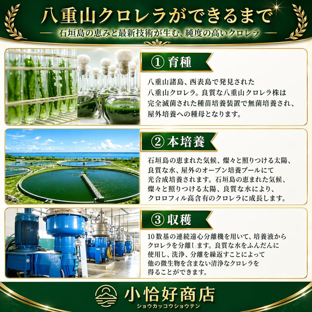 Chlorella tablets for enhanced immunity