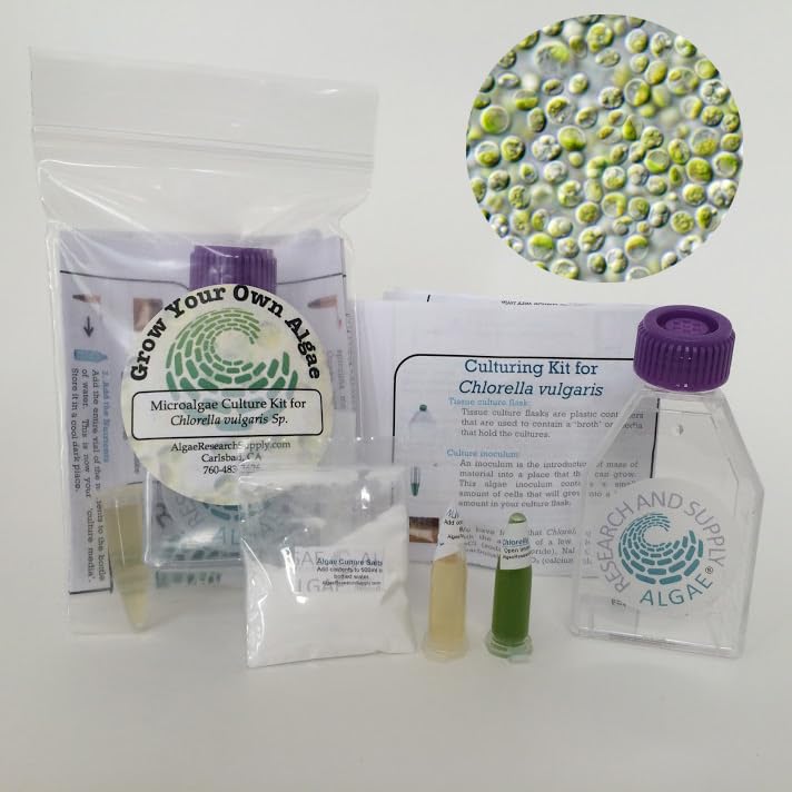 Chlorella Vulgaris algae culture kit