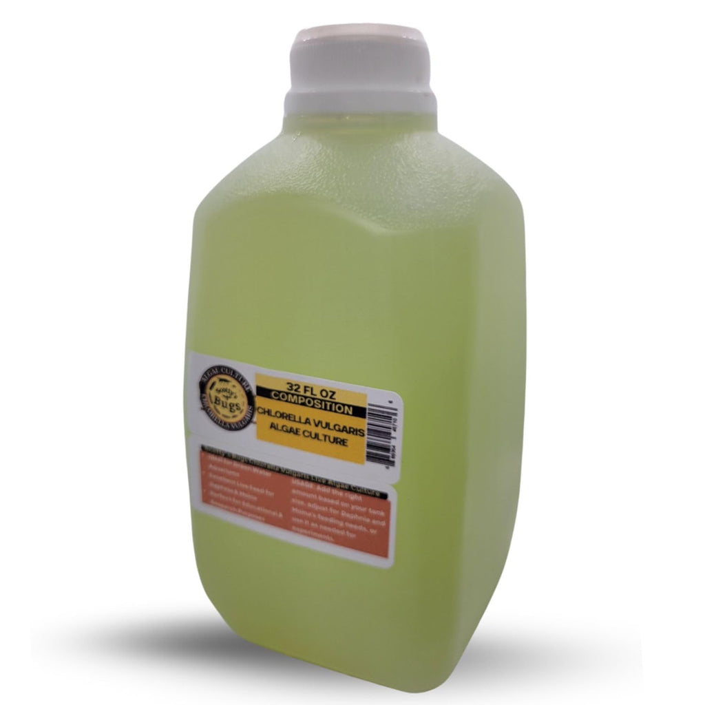 Chlorella vulgaris algae culture