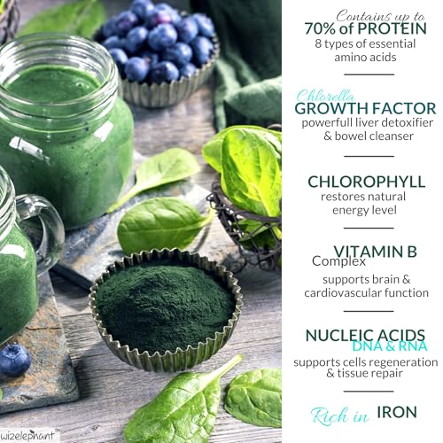 chlorella vulgaris for nutritional support