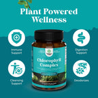 Chlorophyll capsules for digestive health