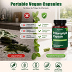 Chlorophyll capsules for digestive health