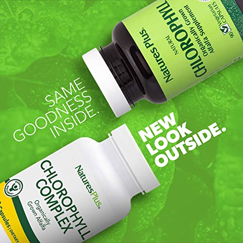 chlorophyll complex for digestive health