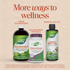 Chlorophyll concentrate for overall vitality
