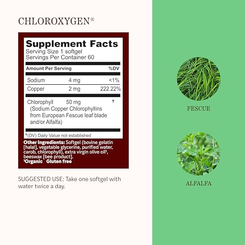 chlorophyll concentrate for vibrant skin
