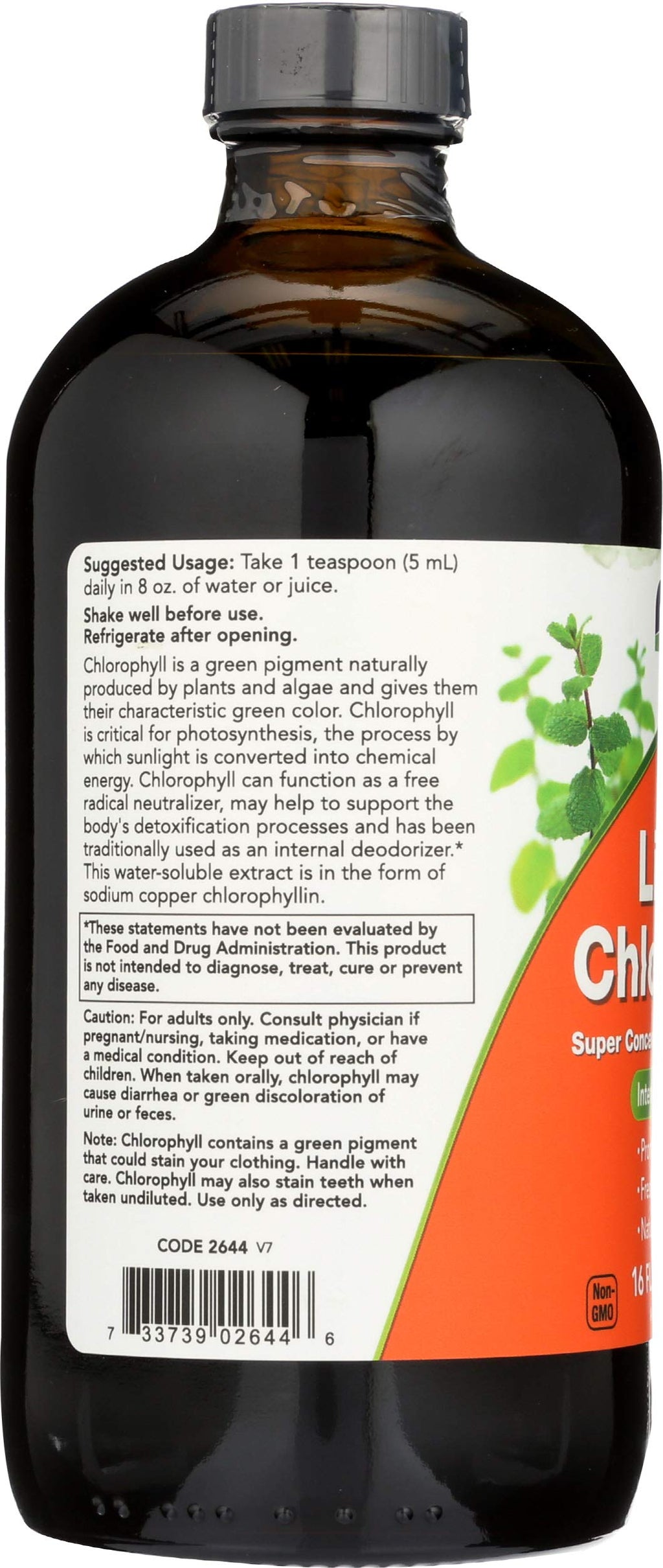chlorophyll drink for daily wellness