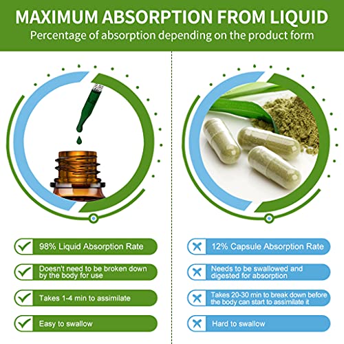 chlorophyll drops for daily energy