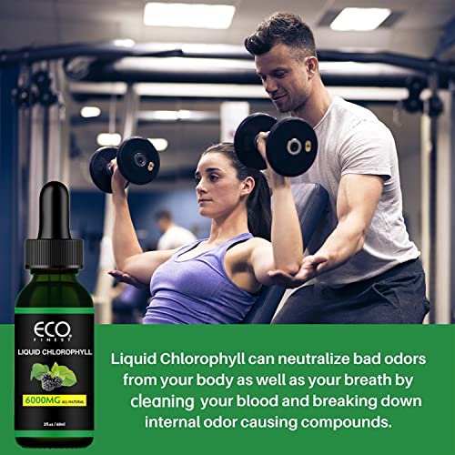 chlorophyll drops for daily energy