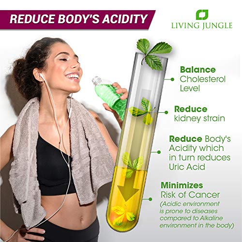 chlorophyll drops for daily nutrition