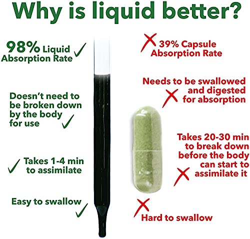 chlorophyll drops for daily nutrition
