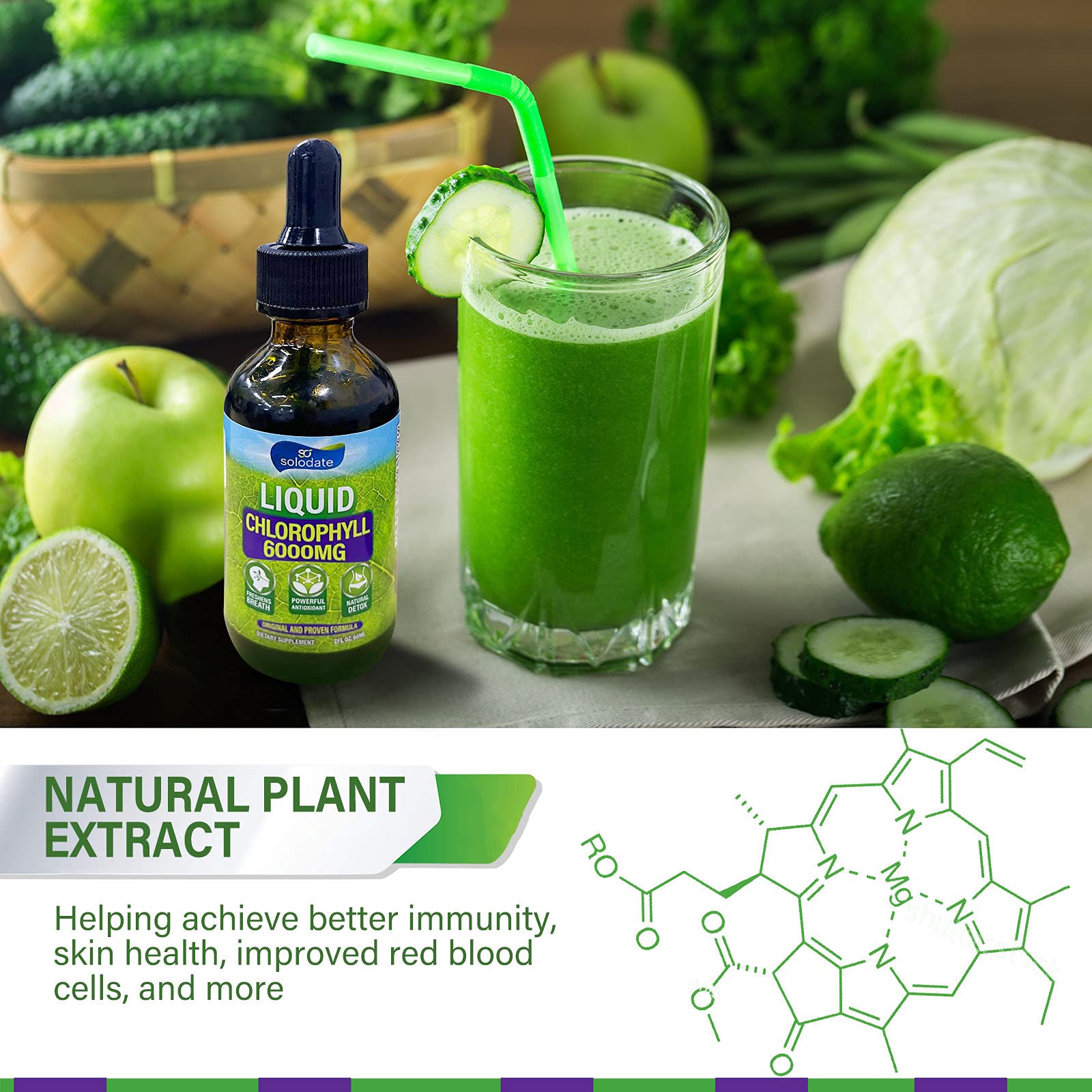 chlorophyll drops for daily wellness