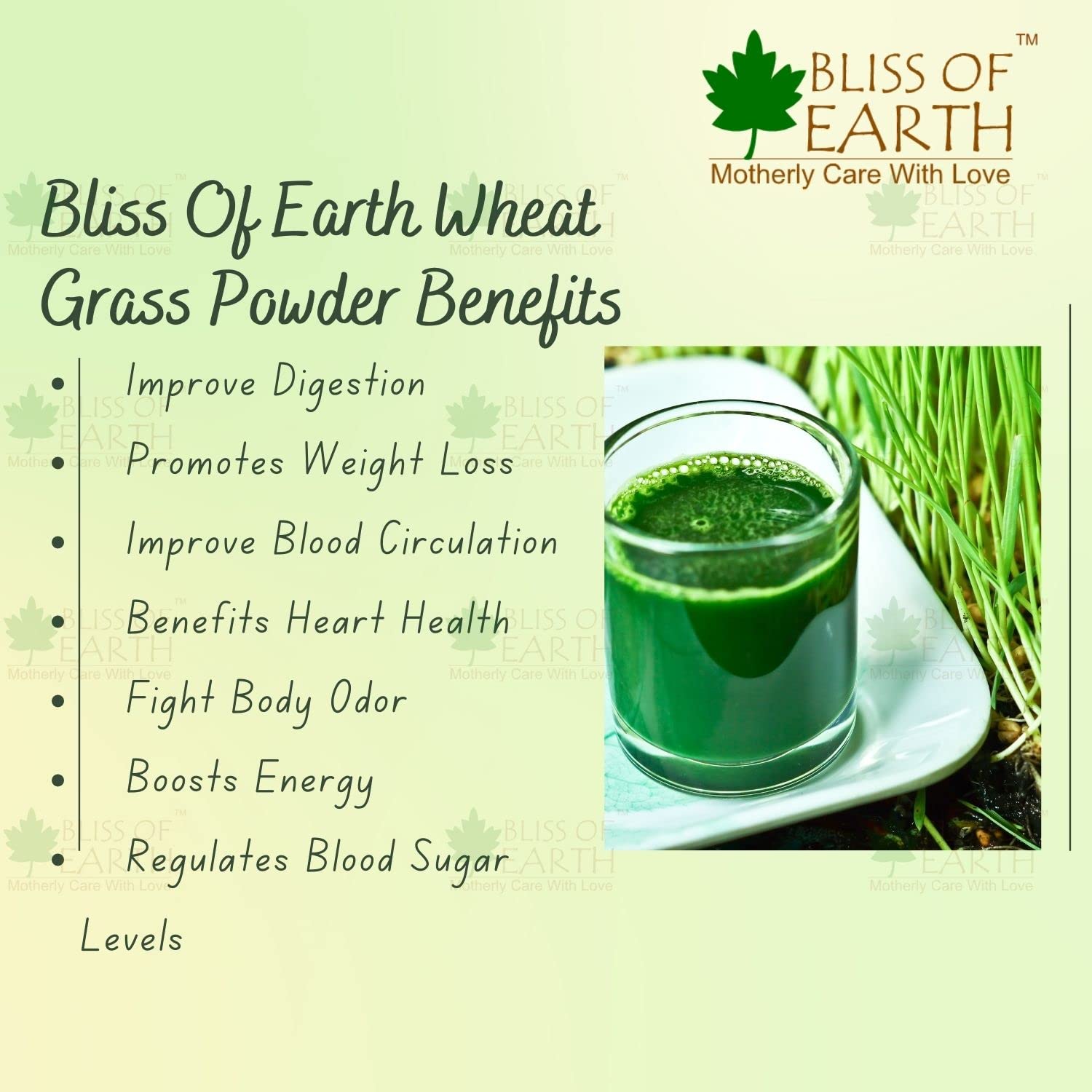 chlorophyll drops for daily wellness