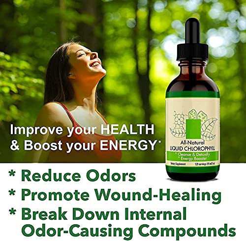 chlorophyll drops for daily wellness