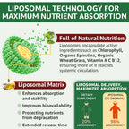 Chlorophyll drops for detox support