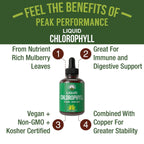 chlorophyll drops for detox support