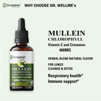Chlorophyll drops for digestive health