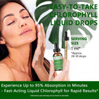 chlorophyll drops for digestive support