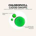 chlorophyll drops for fresh breath