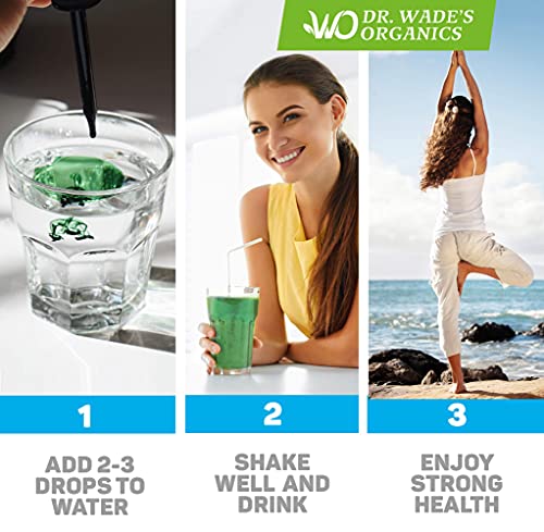 chlorophyll drops for vitality