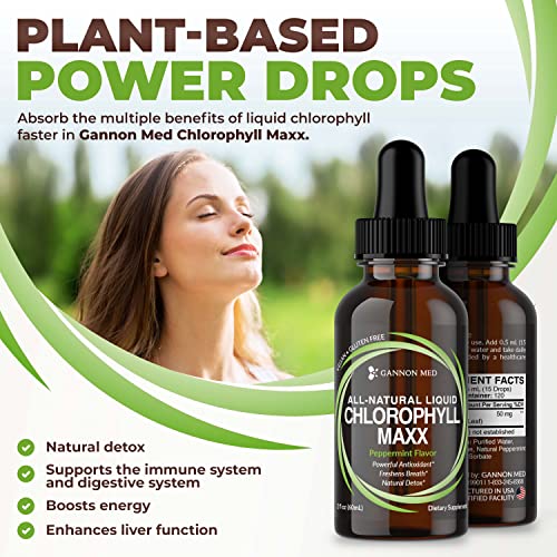 chlorophyll for digestion support