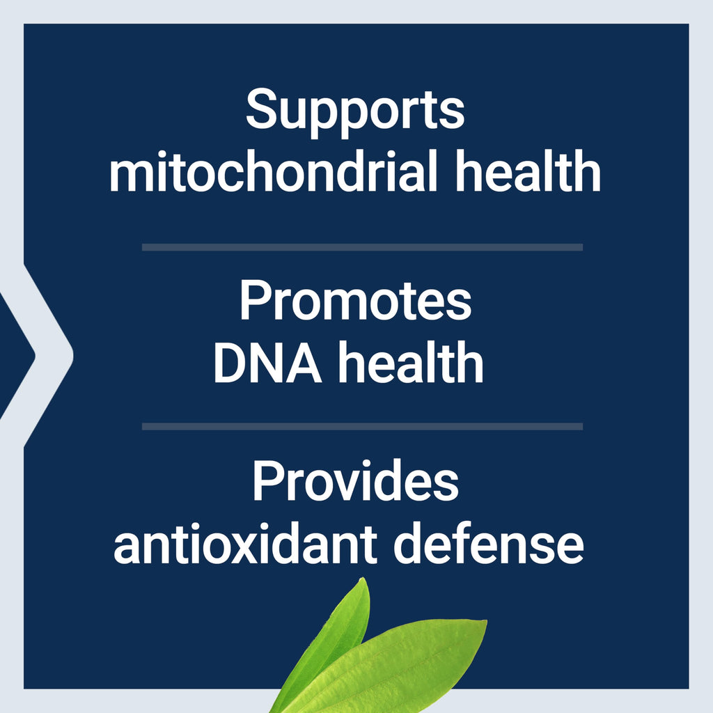 chlorophyll for digestive wellness