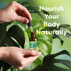 chlorophyll for healthy digestion