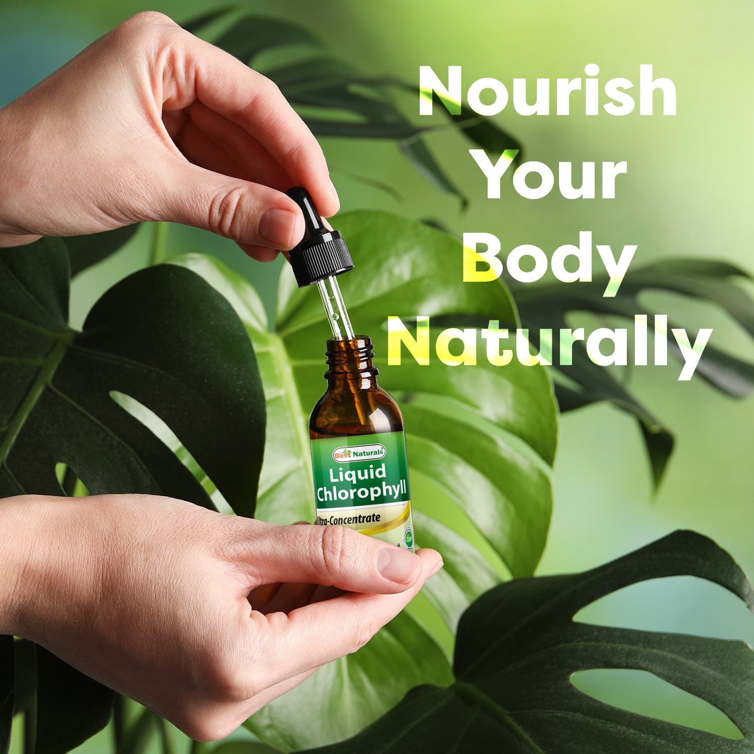 chlorophyll for healthy digestion