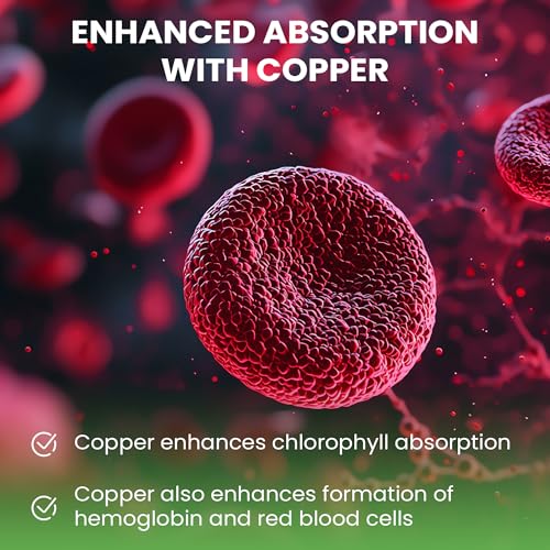 chlorophyll for improved digestion