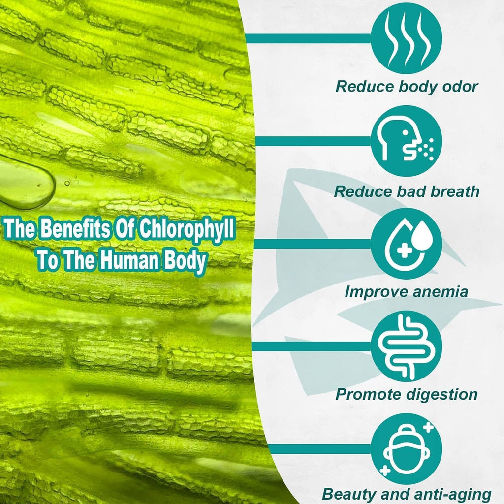chlorophyll for improved digestion