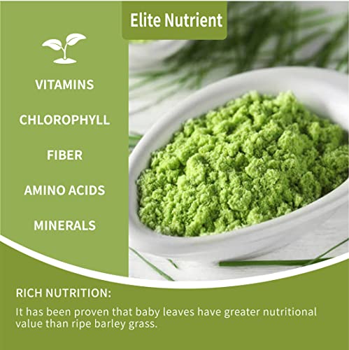 chlorophyll for women’s health benefits