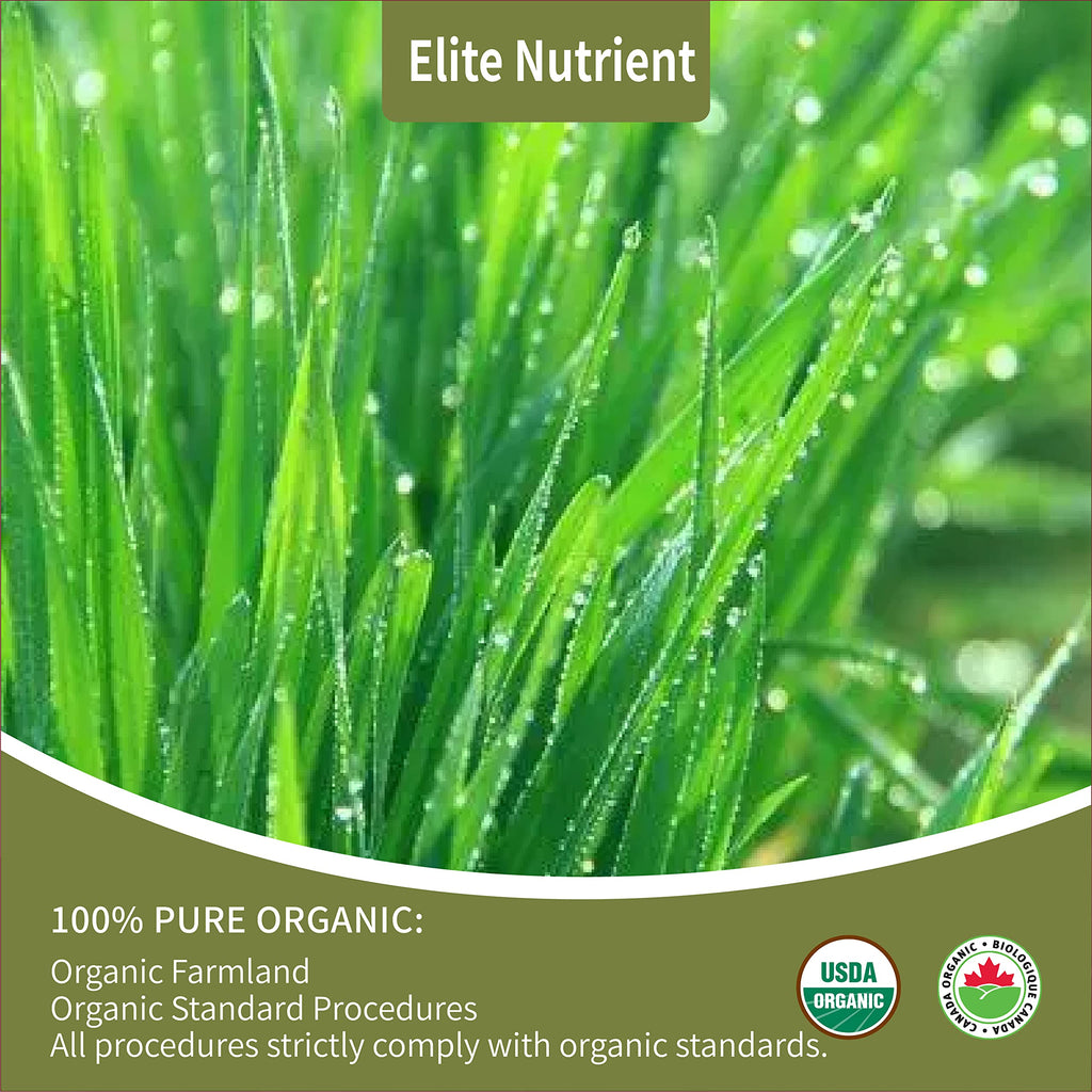 chlorophyll for women's wellness