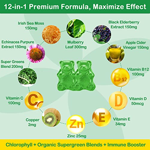 chlorophyll gummies for daily wellness
