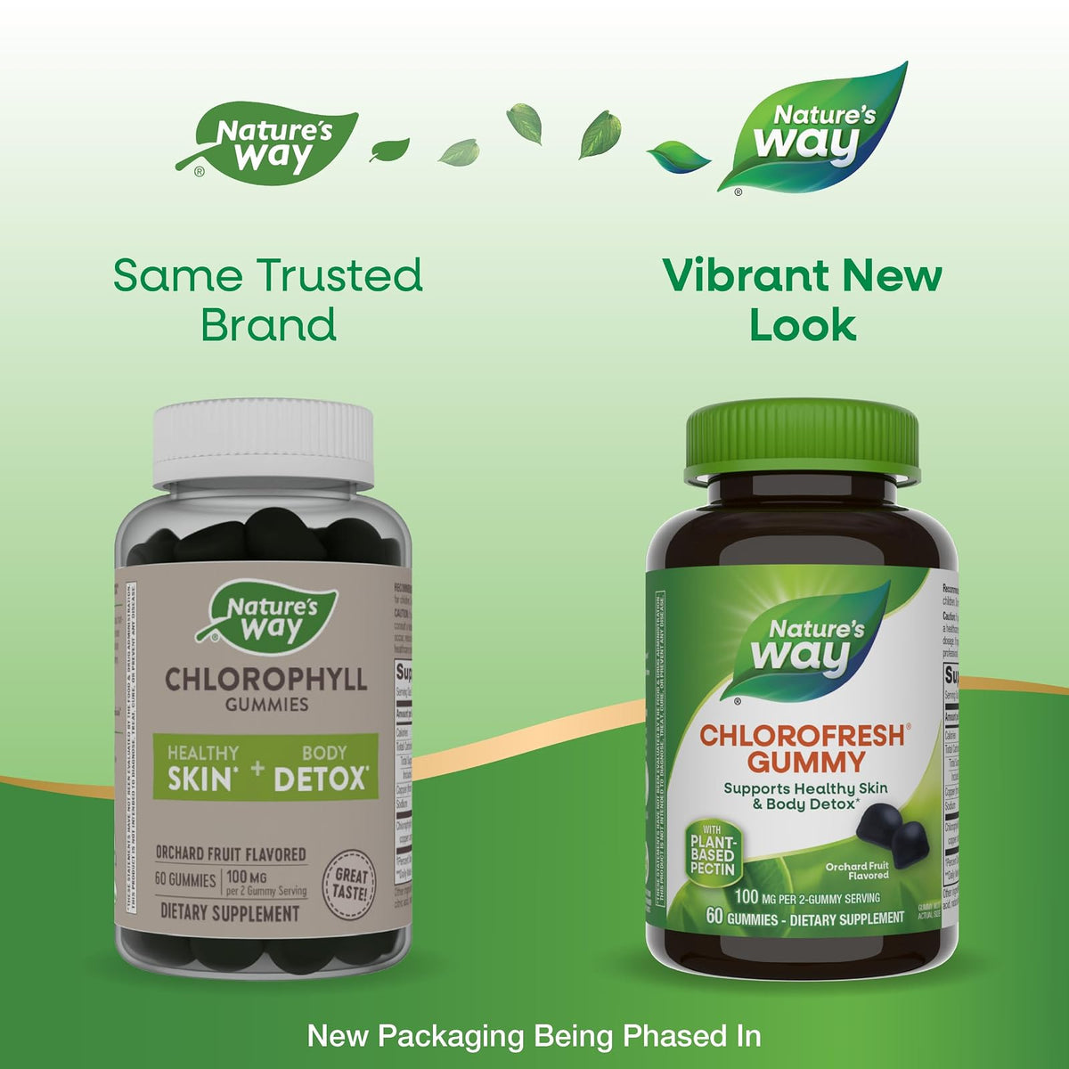 Chlorophyll gummies for fresh breath