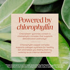 chlorophyll gummies for kids' health