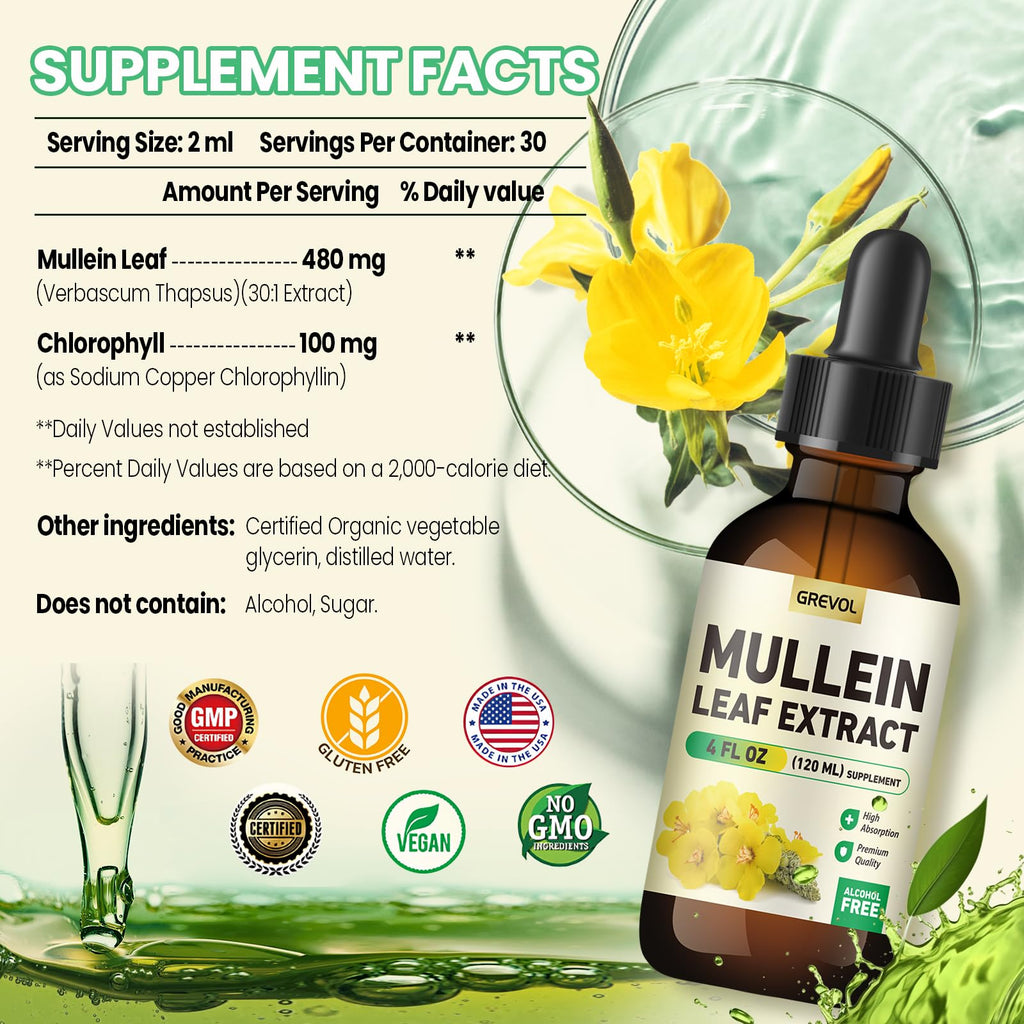 Chlorophyll infused mullein extract tincture