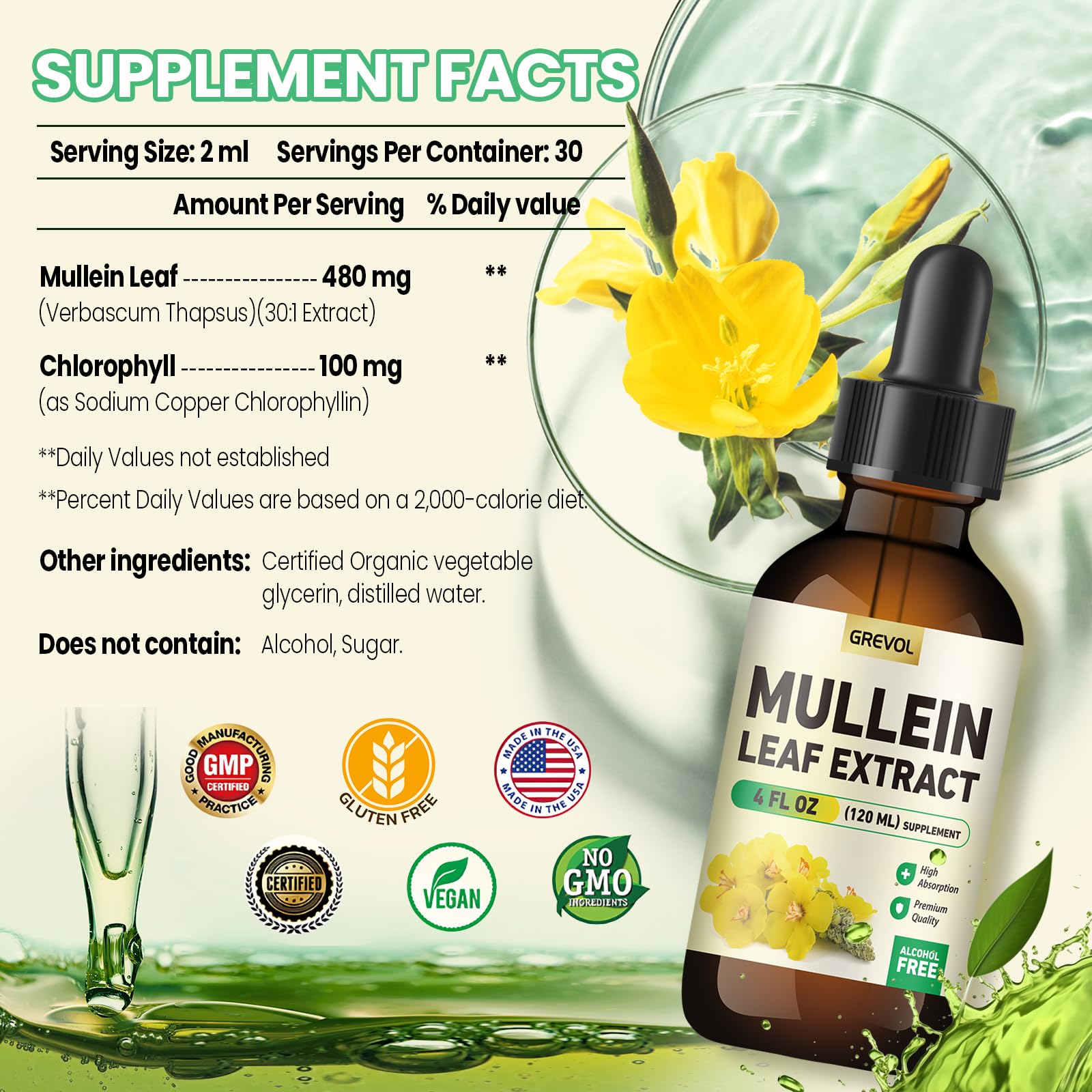 Chlorophyll infused mullein extract tincture