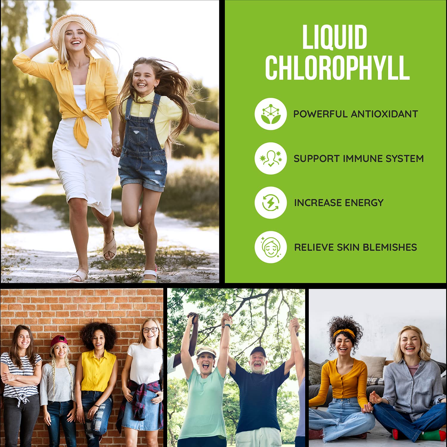 chlorophyll ivy for daily energy