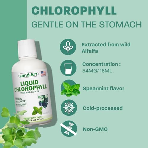 Chlorophyll ivy for enhanced detoxification