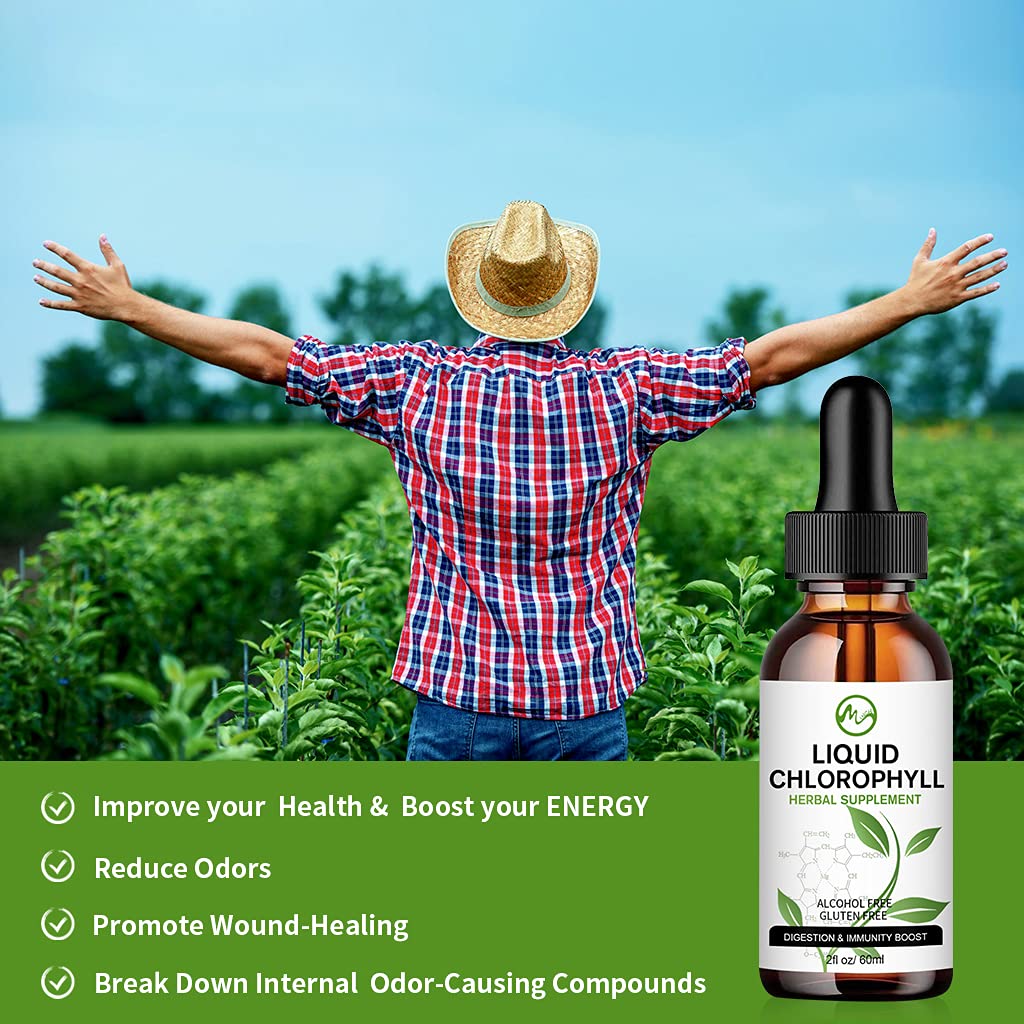 chlorophyll ivy for enhanced wellness