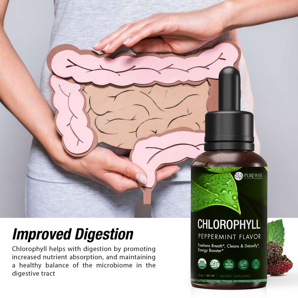 chlorophyll ivy for improved digestion