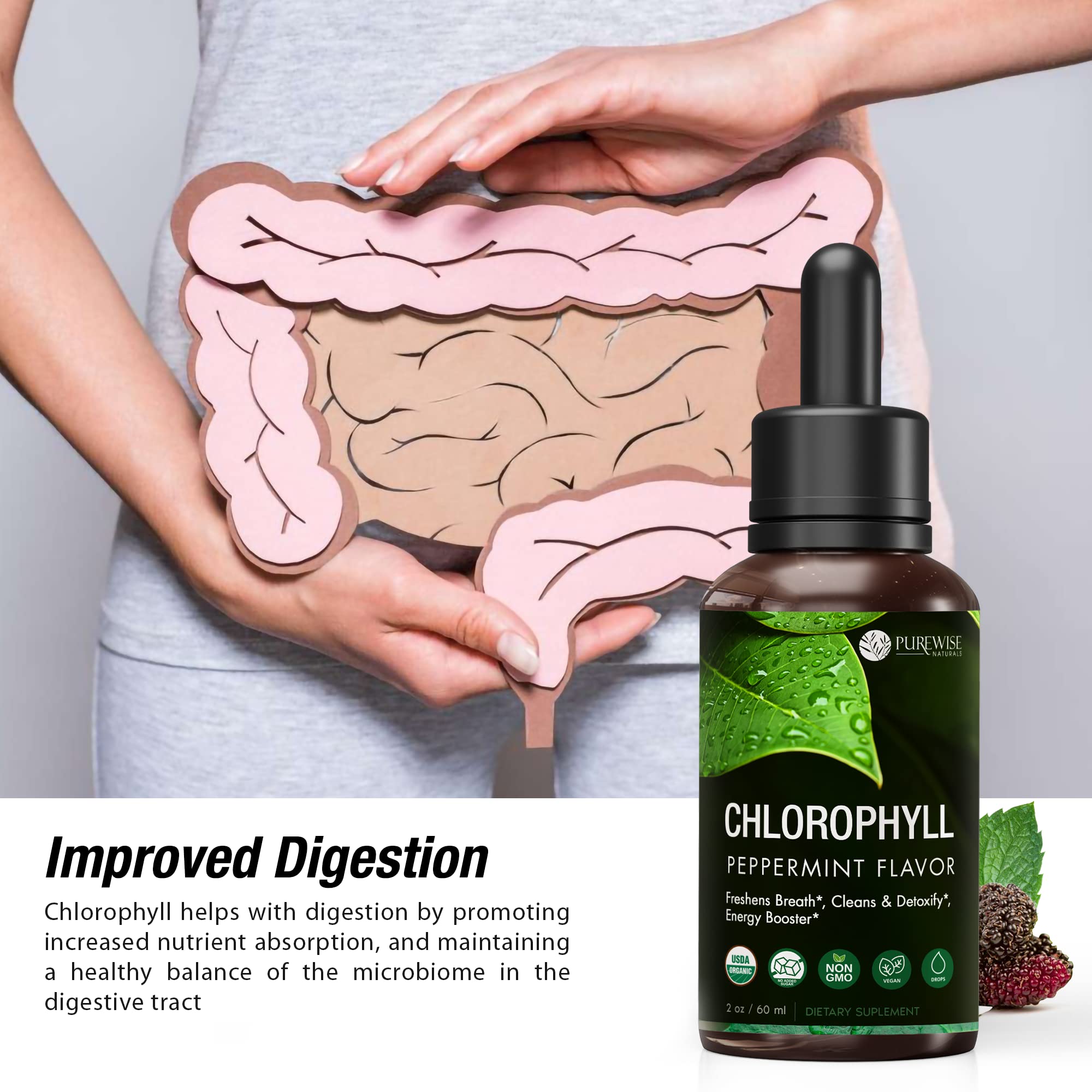 chlorophyll ivy for improved digestion